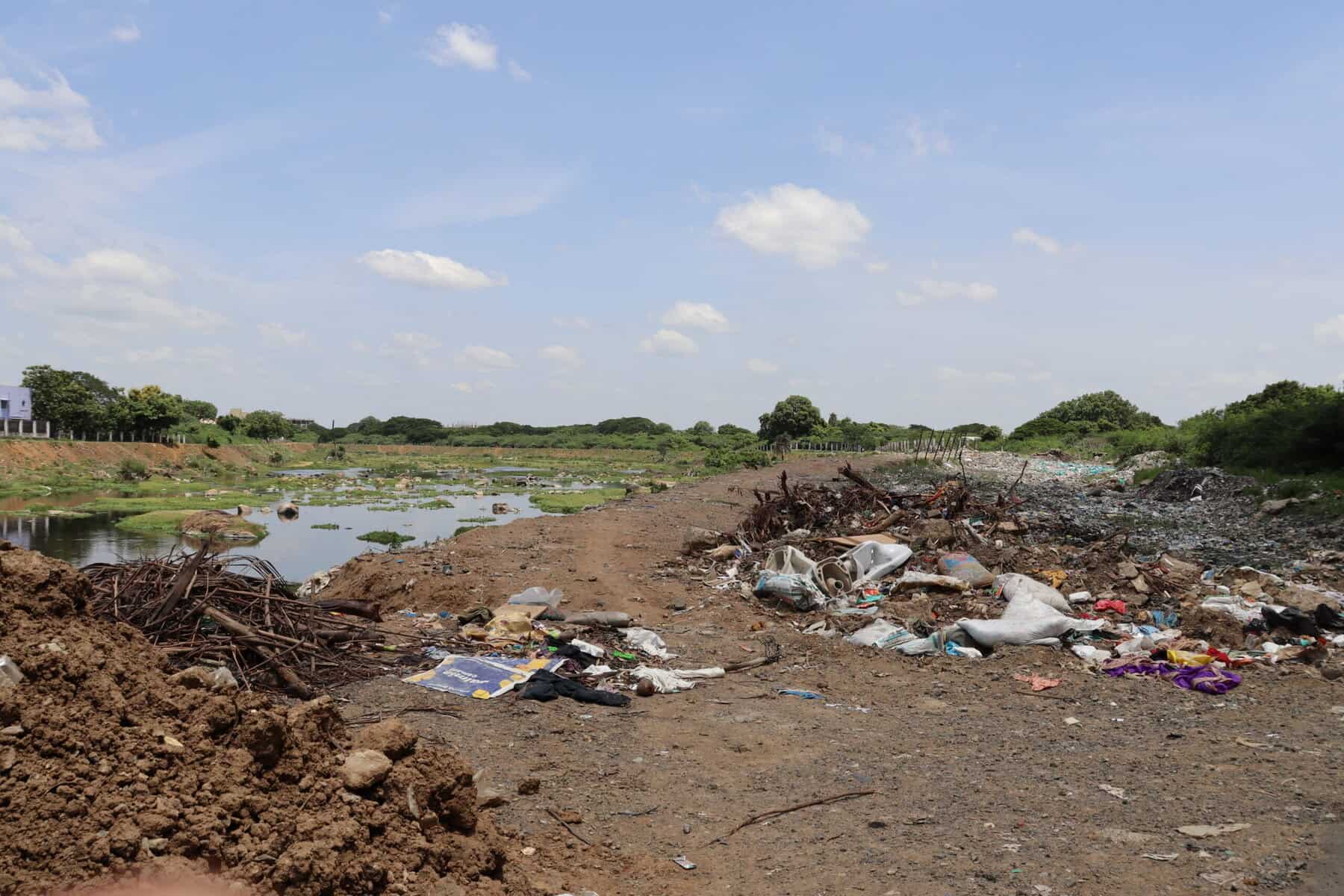 The Adyar Riverbank at Gerugambakkam, Indira Nagar - Madras Musings